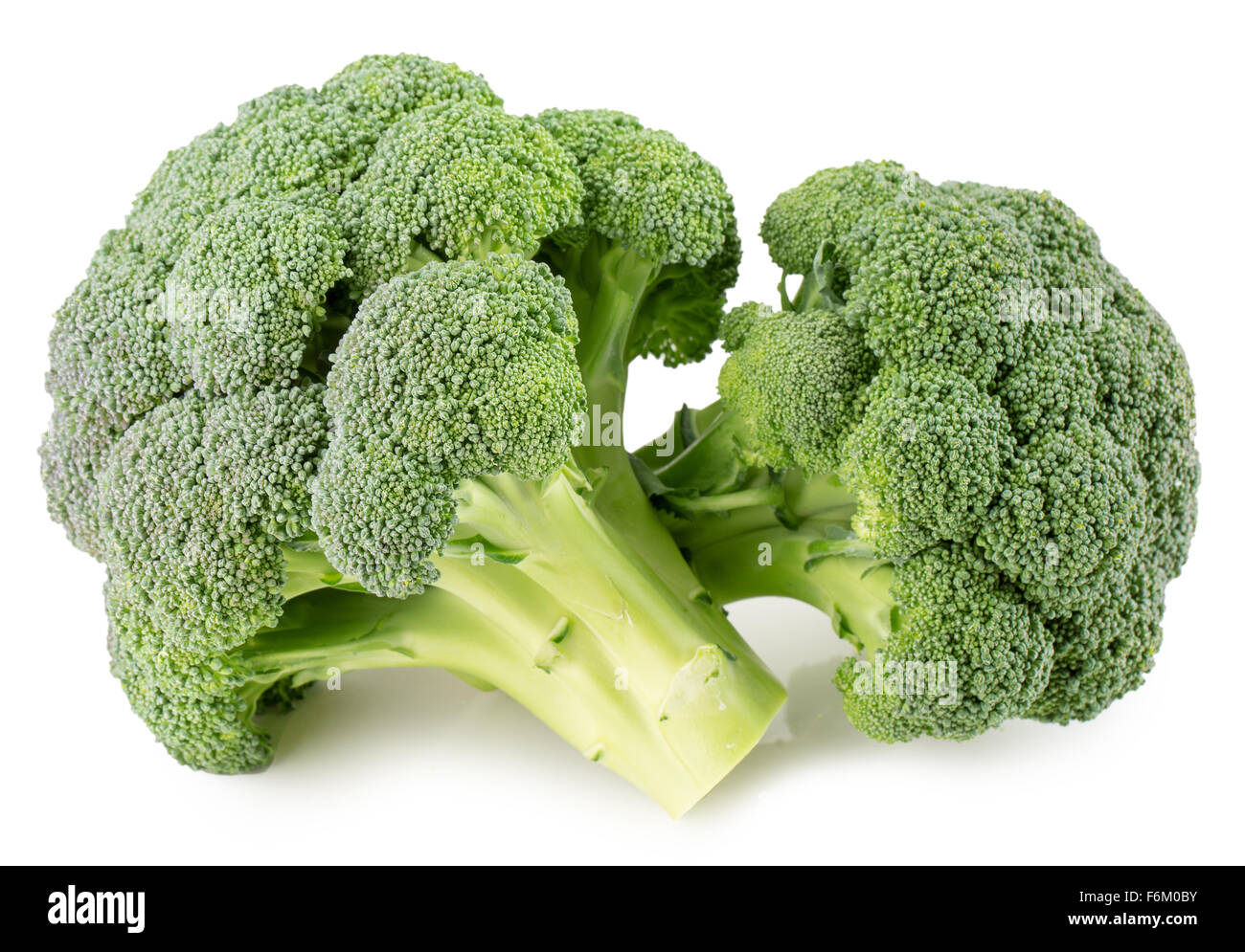 green broccoli isolated on the white background Stock Photo - Alamy