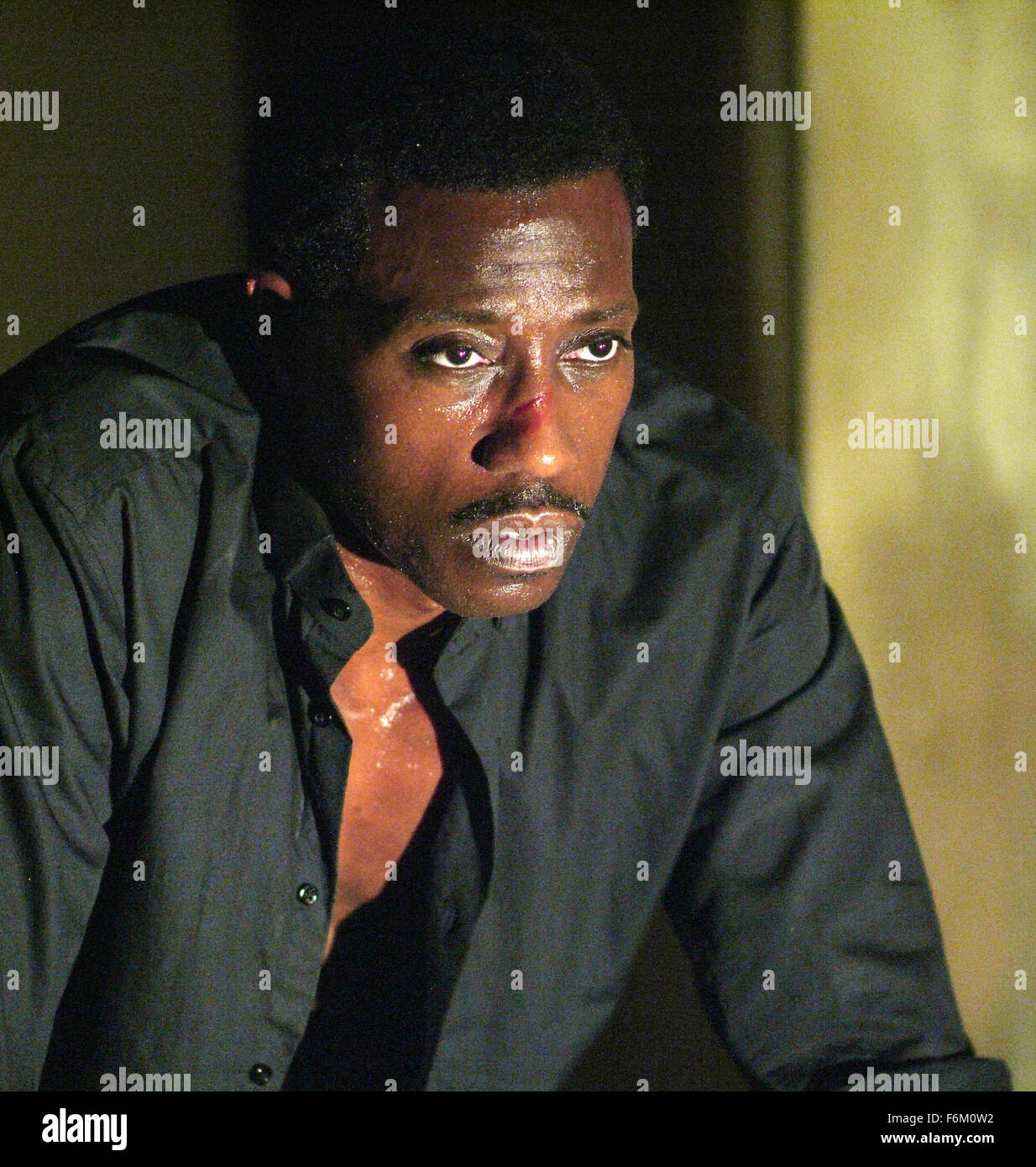 RELEASE DATE: July 10, 2007. MOVIE TITLE: The Contractor. STUDIO: Sony ...