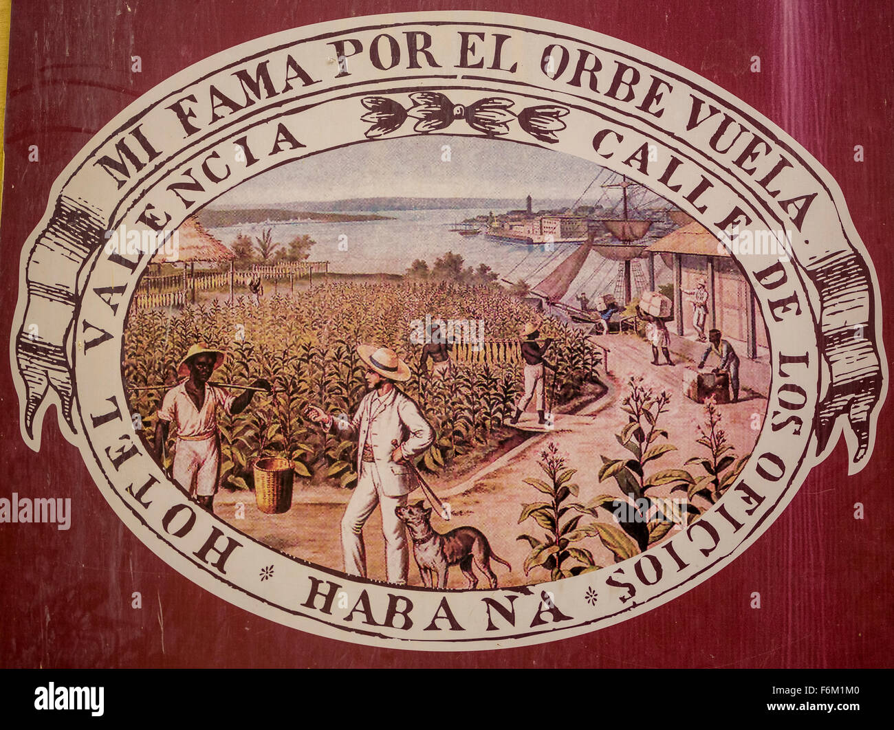 Tobacco Posters in front of a Cuban cigar business, advertising poster ...