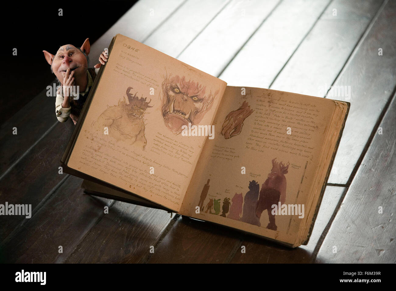 RELEASE DATE: February 15, 2008. MOVIE TITLE: The Spiderwick Chronicles ...