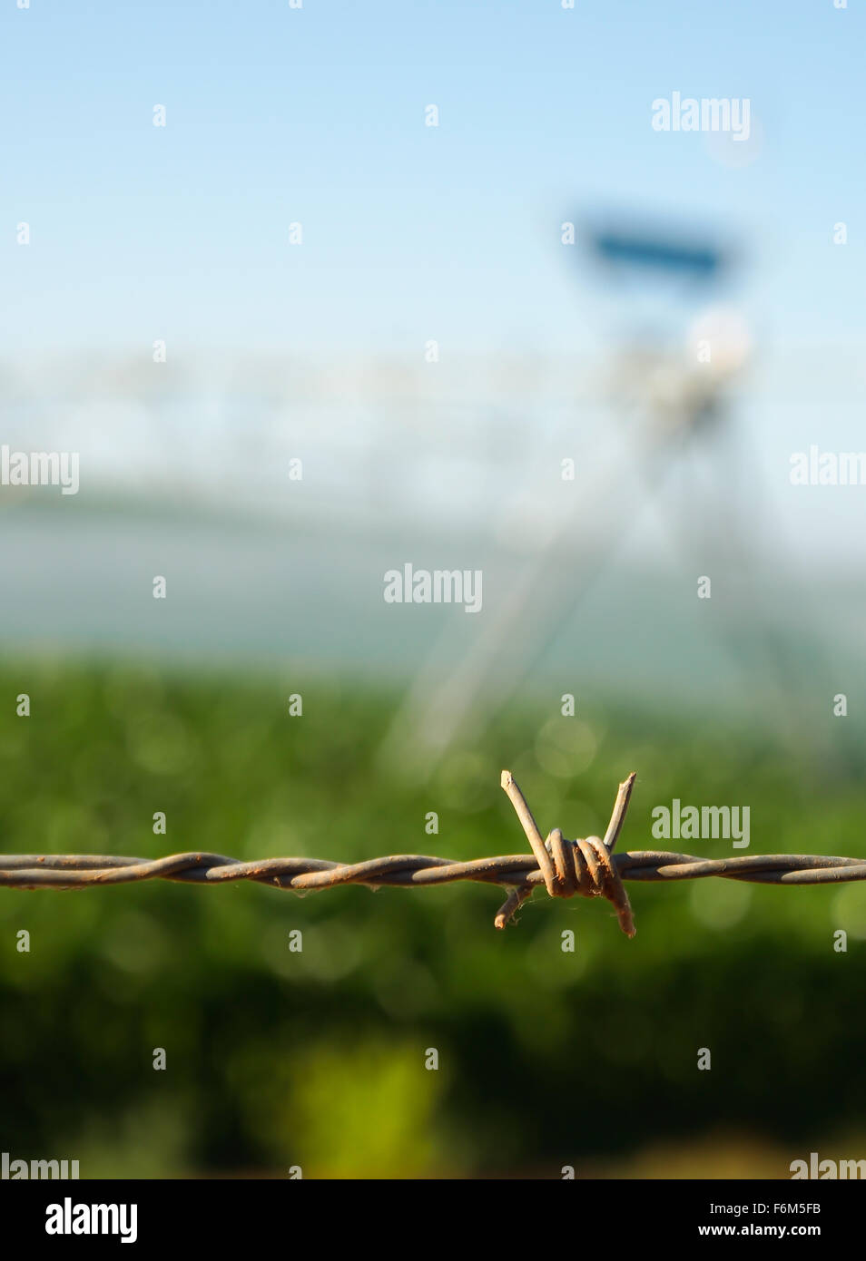 Barb barbed razor wire fence fences hi-res stock photography and images ...
