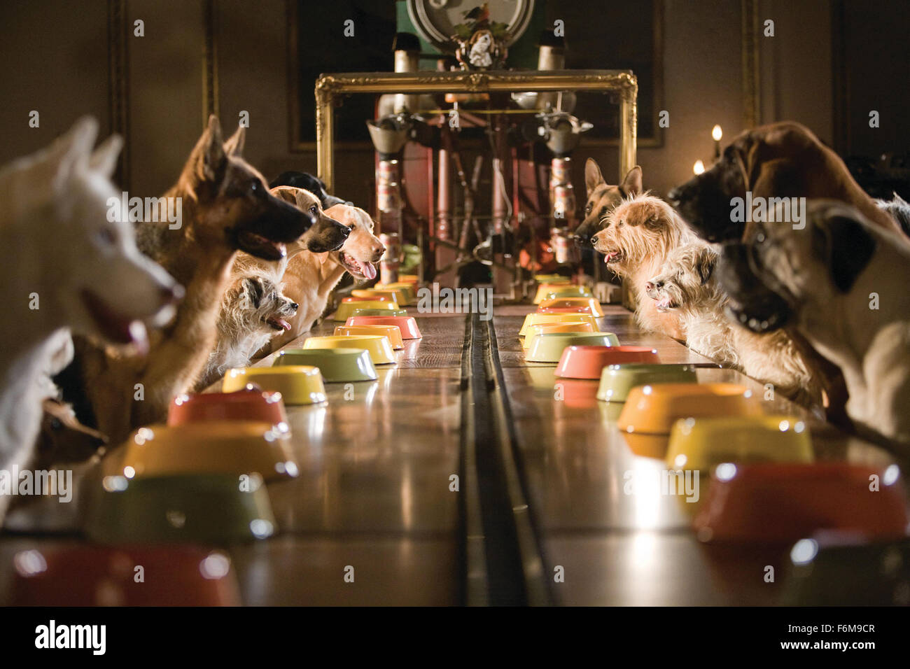 RELEASE DATE: 16 January 2009. MOVIE TITLE: Hotel for Dogs. STUDIO ...