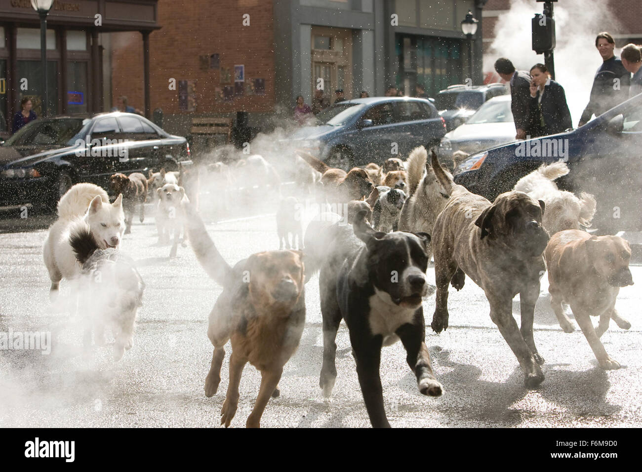 RELEASE DATE: 16 January 2009. MOVIE TITLE: Hotel for Dogs. STUDIO ...