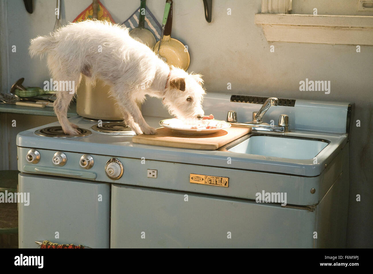 RELEASE DATE: 16 January 2009. MOVIE TITLE: Hotel for Dogs. STUDIO ...