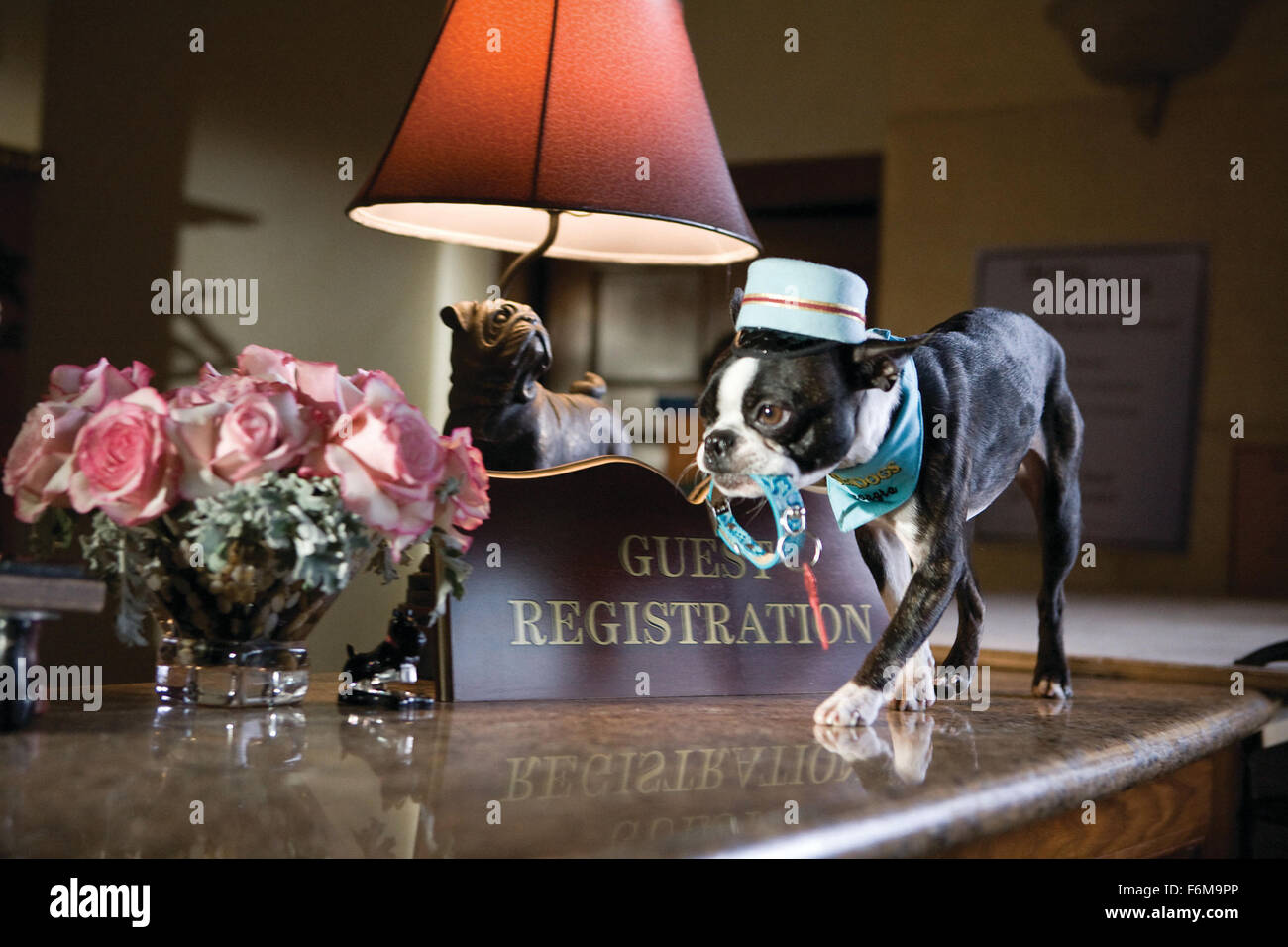 RELEASE DATE: 16 January 2009. MOVIE TITLE: Hotel for Dogs. STUDIO ...