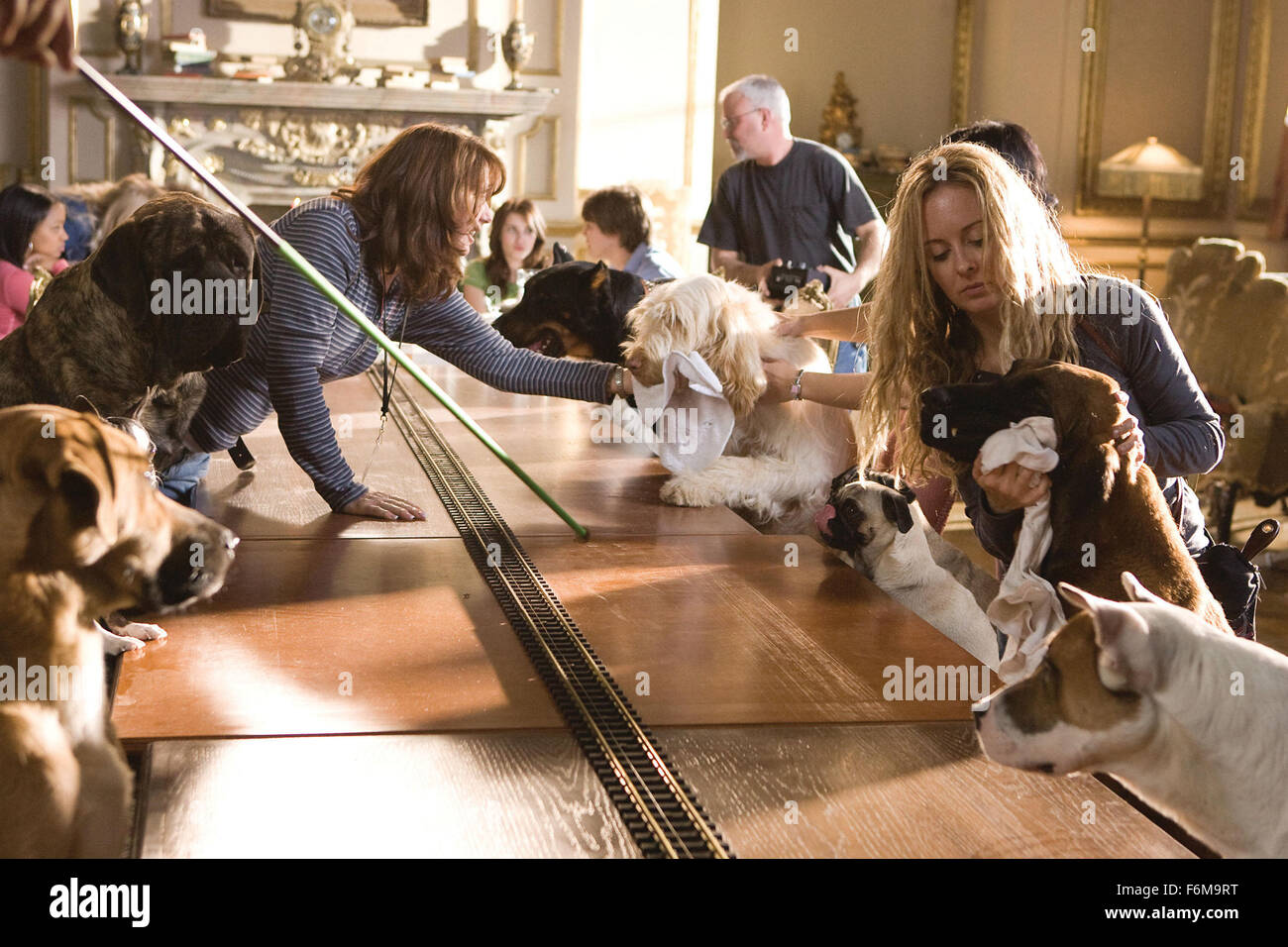 RELEASE DATE: 16 January 2009. MOVIE TITLE: Hotel for Dogs. STUDIO ...