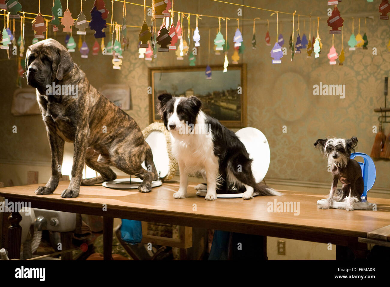 RELEASE DATE: 16 January 2009. MOVIE TITLE: Hotel for Dogs. STUDIO ...