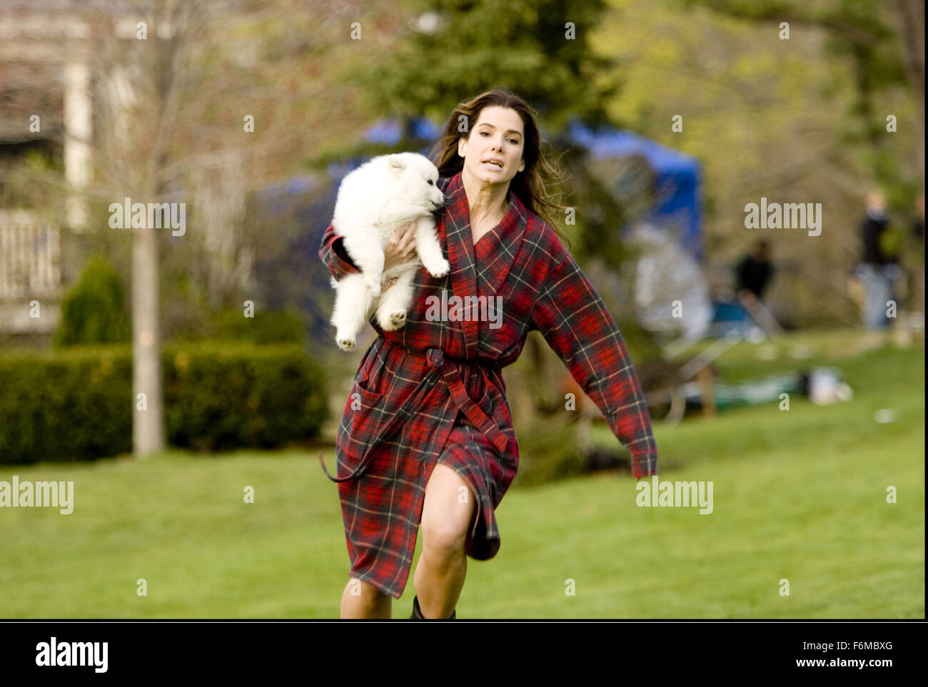 RELEASE DATE: June 12, 2009 MOVIE TITLE: The Proposal STUDIO: PLOT: A ...