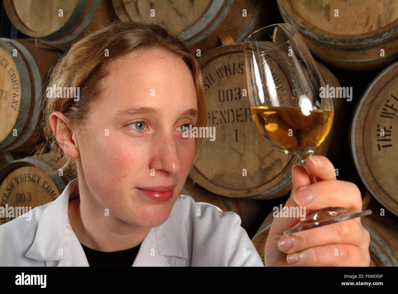 Welsh Whisky Co,Penderyn,Wales,UK, a distillery where premium spirits ...