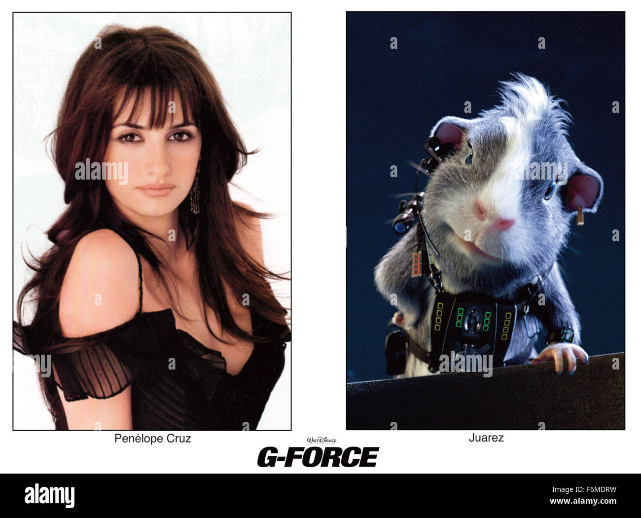 G force juarez voice penelope cruz hi-res stock photography and images - Alamy
