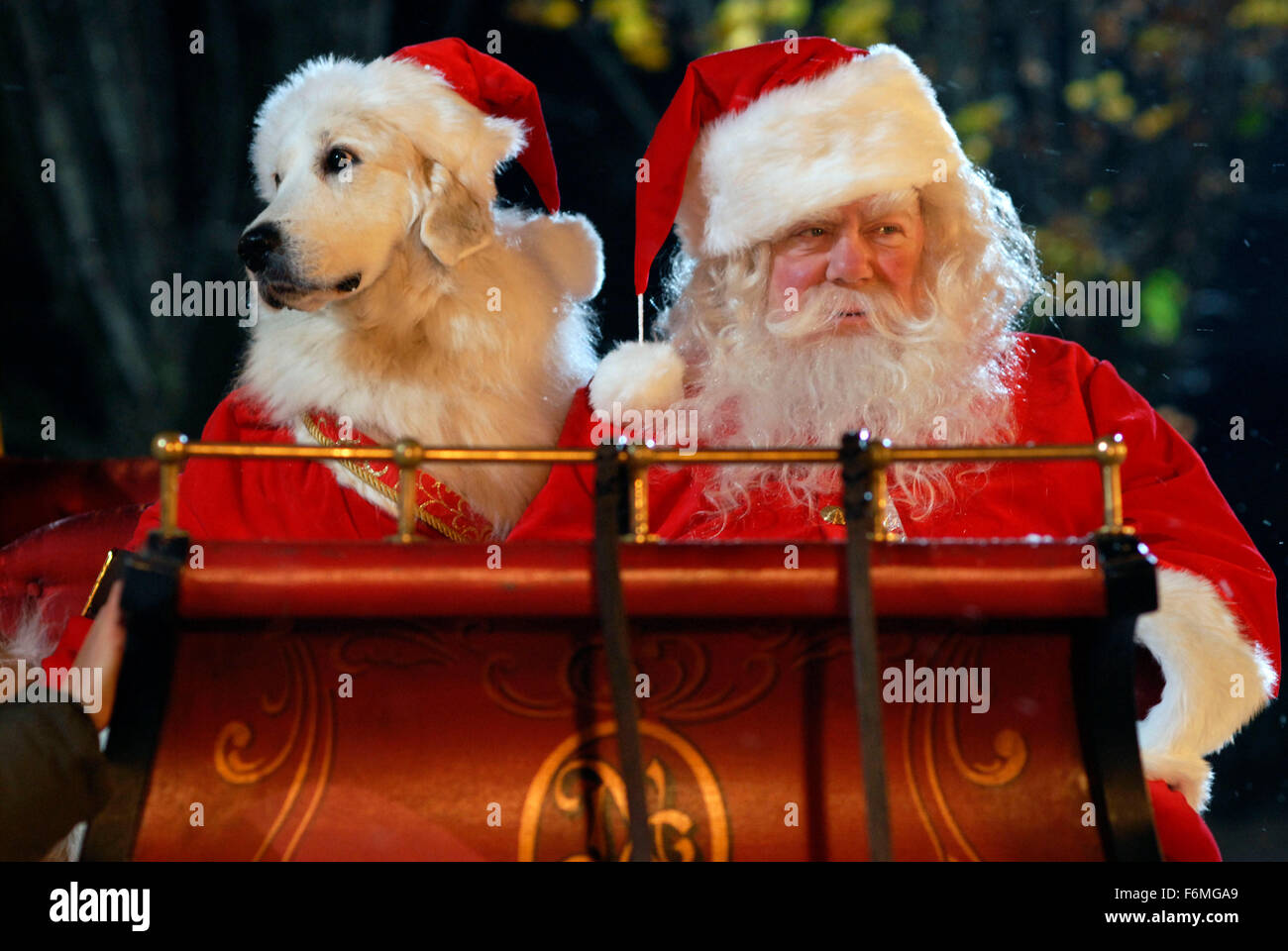 Santa Buddies Poster