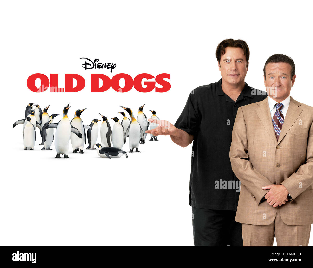 RELEASE DATE: November 25, 2009. MOVIE TITLE: Old Dogs. STUDIO: Walt ...