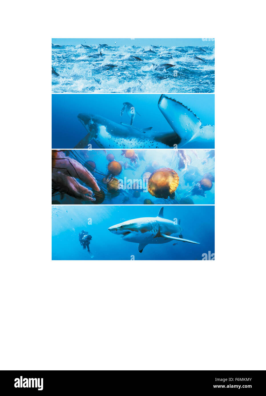 RELEASE DATE: April 22, 2010. MOVIE TITLE: Oceans. STUDIO: Disneynature ...
