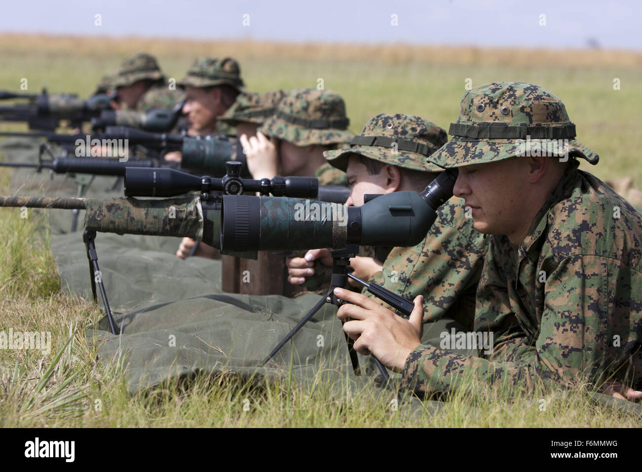 RELEASE DATE: 2010. MOVIE TITLE: Sniper: Reloaded. STUDIO: ApolloMovie ...