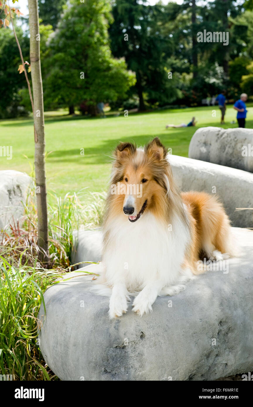 Mazie hi-res stock photography and images - Alamy