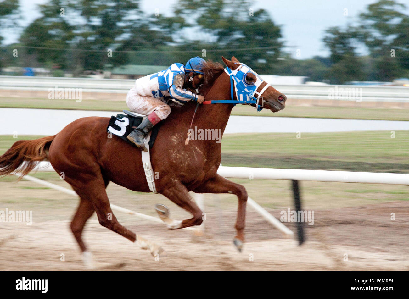 Secretariat movie ronnie turcotte hi-res stock photography and images ...
