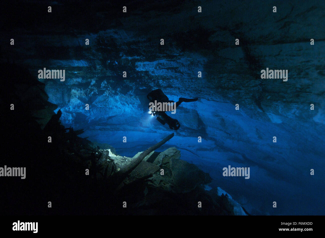 RELEASE DATE: February 4, 2011 MOVIE TITLE: Sanctum STUDIO: Universal ...