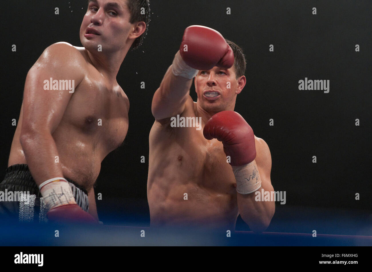 Mickey ward boxer hi-res stock photography and images - Alamy
