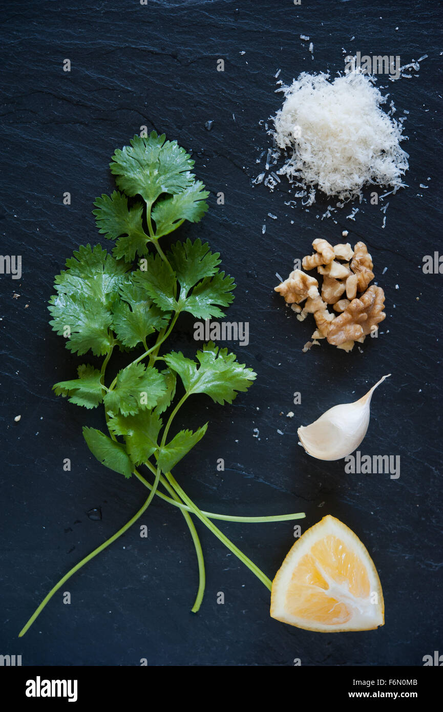 Cilantro/Coriander Walnut Pesto ingredients Stock Photo - Alamy