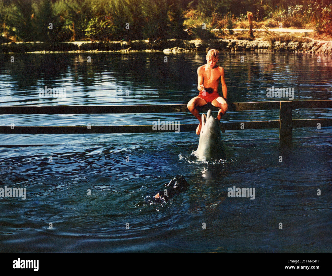 May 28, 2014 - Hollywood, USA - FLIPPER (1963).LUKE HALPIN, JAMES B ...