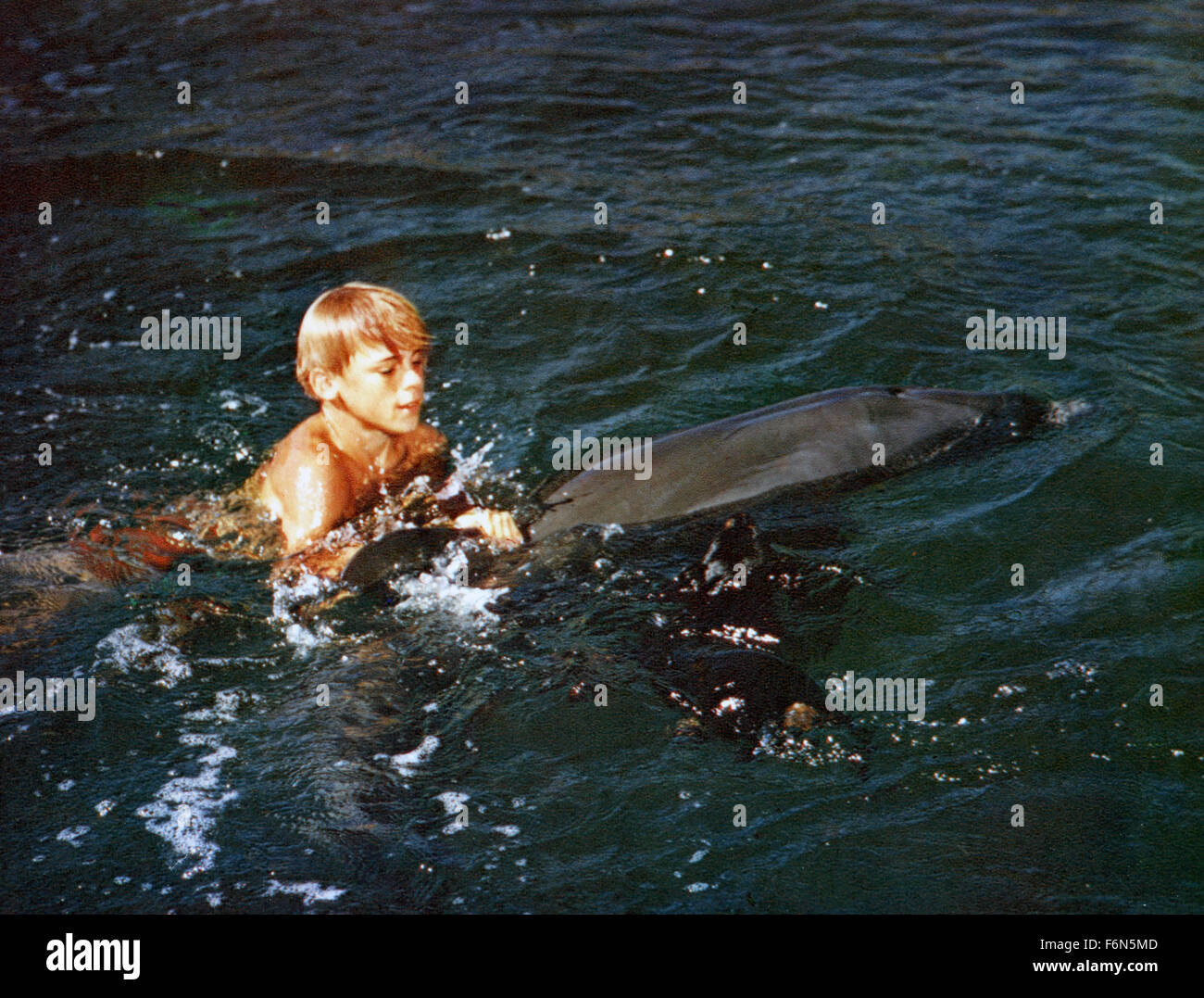 Flipper film hi-res stock photography and images - Alamy
