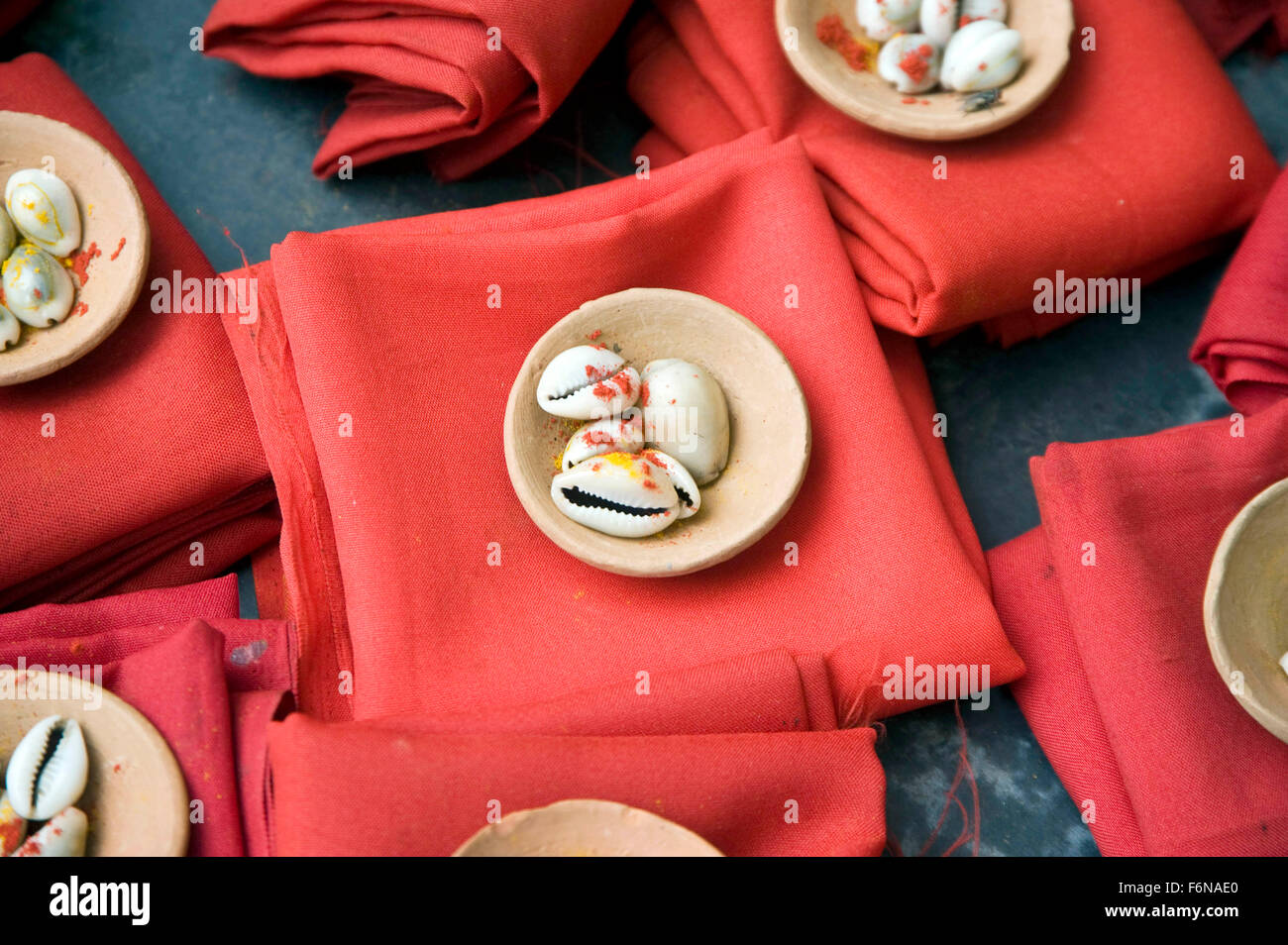 Kaudi shells hi-res stock photography and images - Alamy