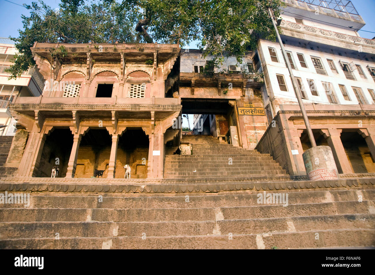 Tulsi ghat, varanasi, uttar pradesh, india, asia Stock Photo - Alamy