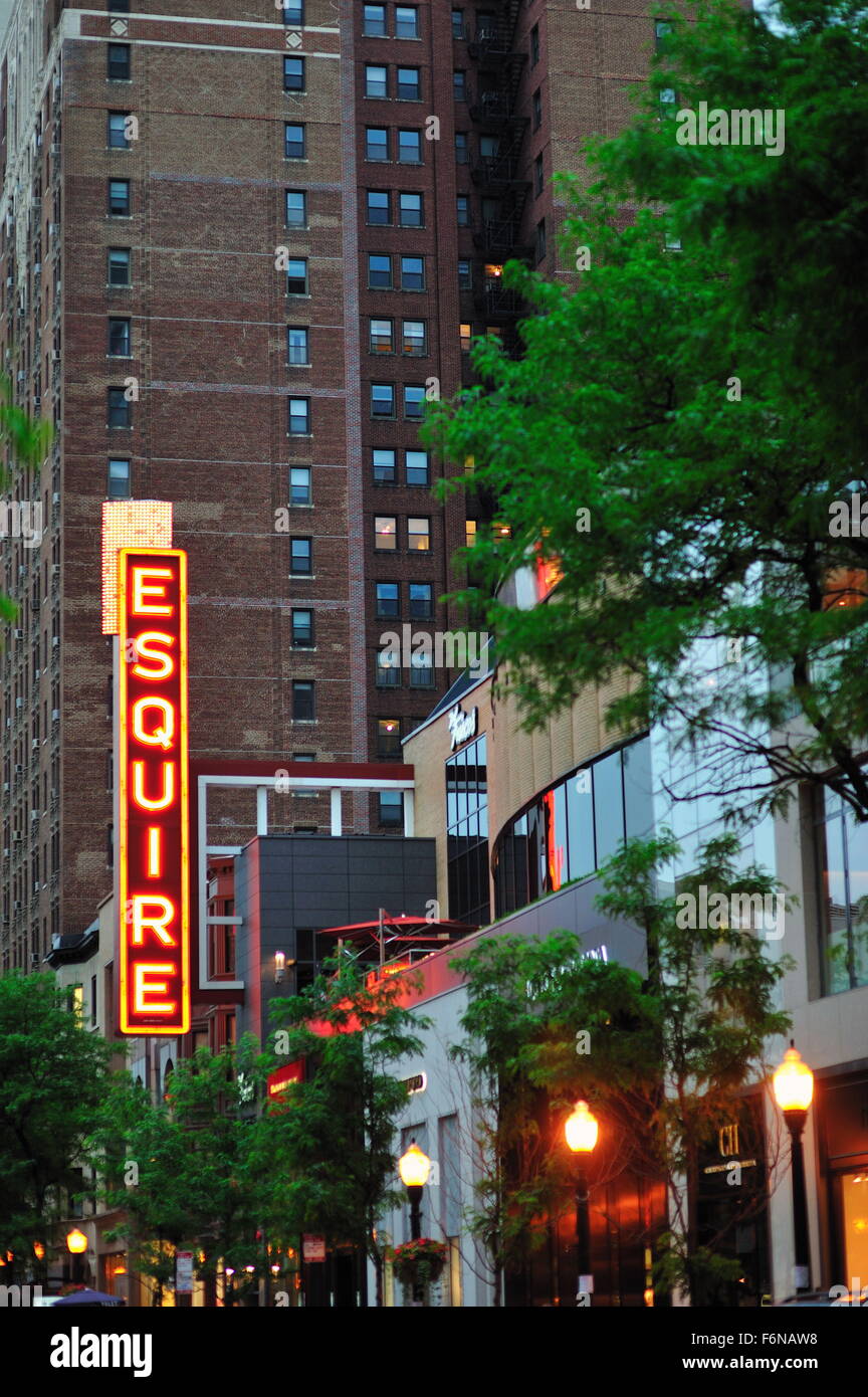 The remnant marquee from the once-famous Esquire Theatre in Chicago is ...