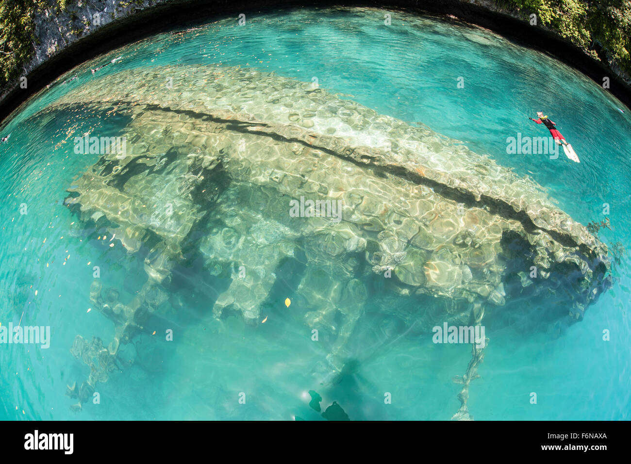 A shipwreck now serves as an artificial reef in Palau's inner lagoon ...