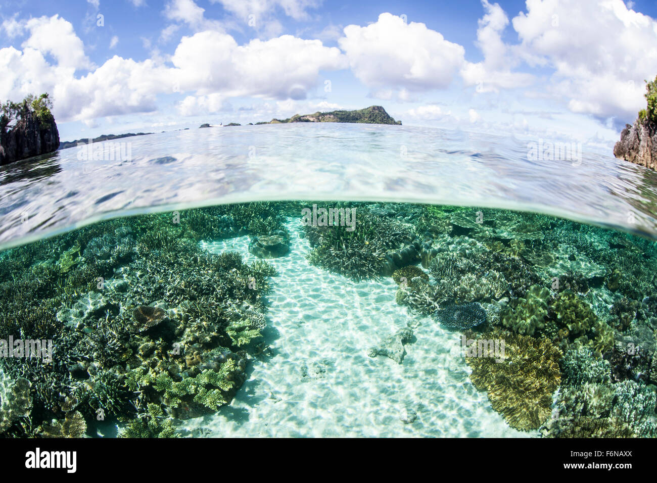 A beautiful coral reef grows near a set of limestone islands in Raja ...