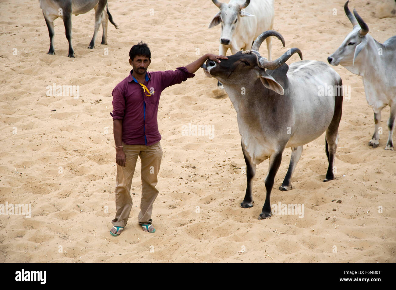 Pathmeda hi-res stock photography and images - Alamy