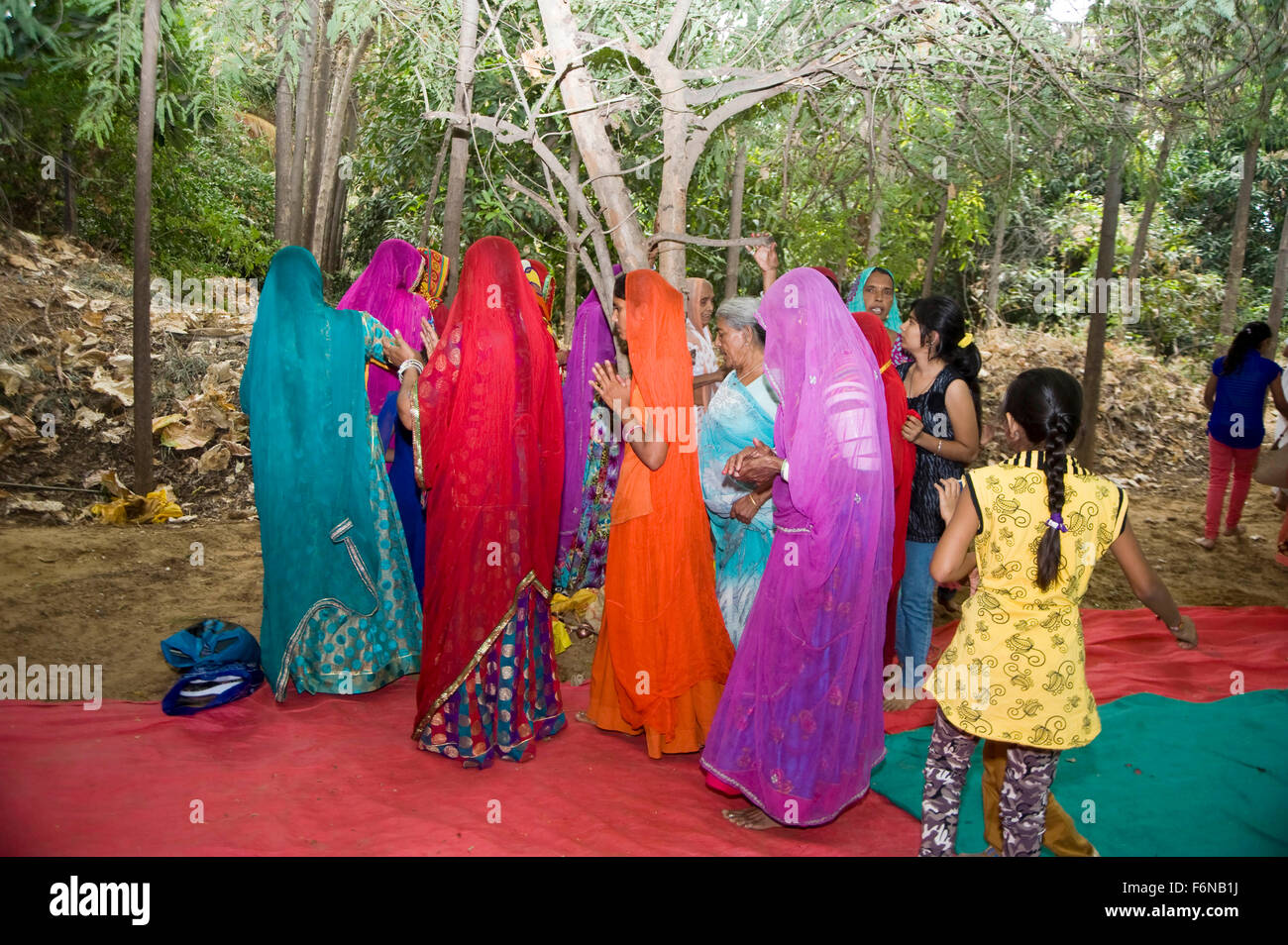 Gooseberry tree pooja, pathmeda, godham, rajasthan, india, asia Stock ...