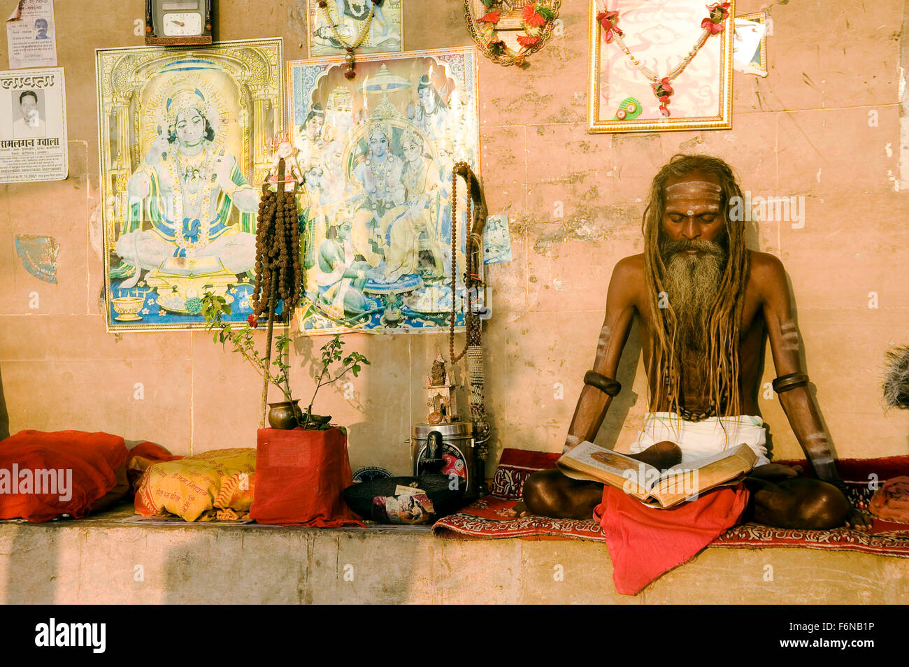 Sadhu reading holy book, varanasi, uttar pradesh, india, asia Stock ...