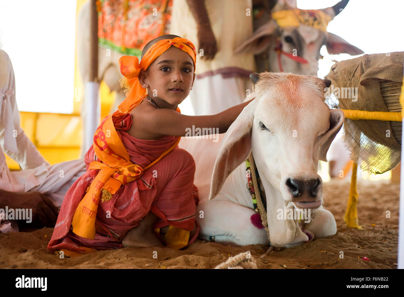 Indian Cow With Child Images