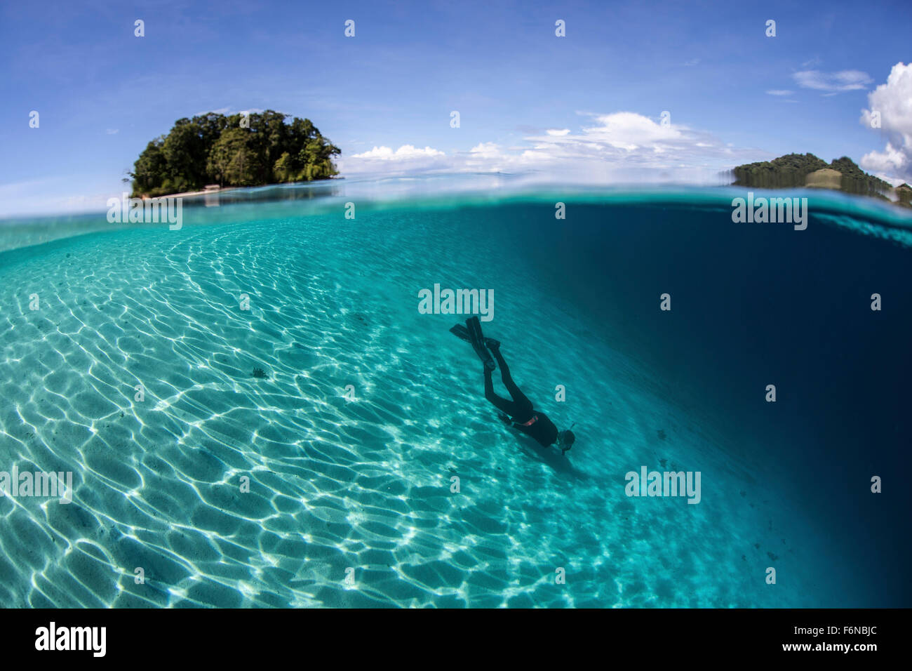 Underwater shallow sandy ocean floor hi-res stock photography and ...