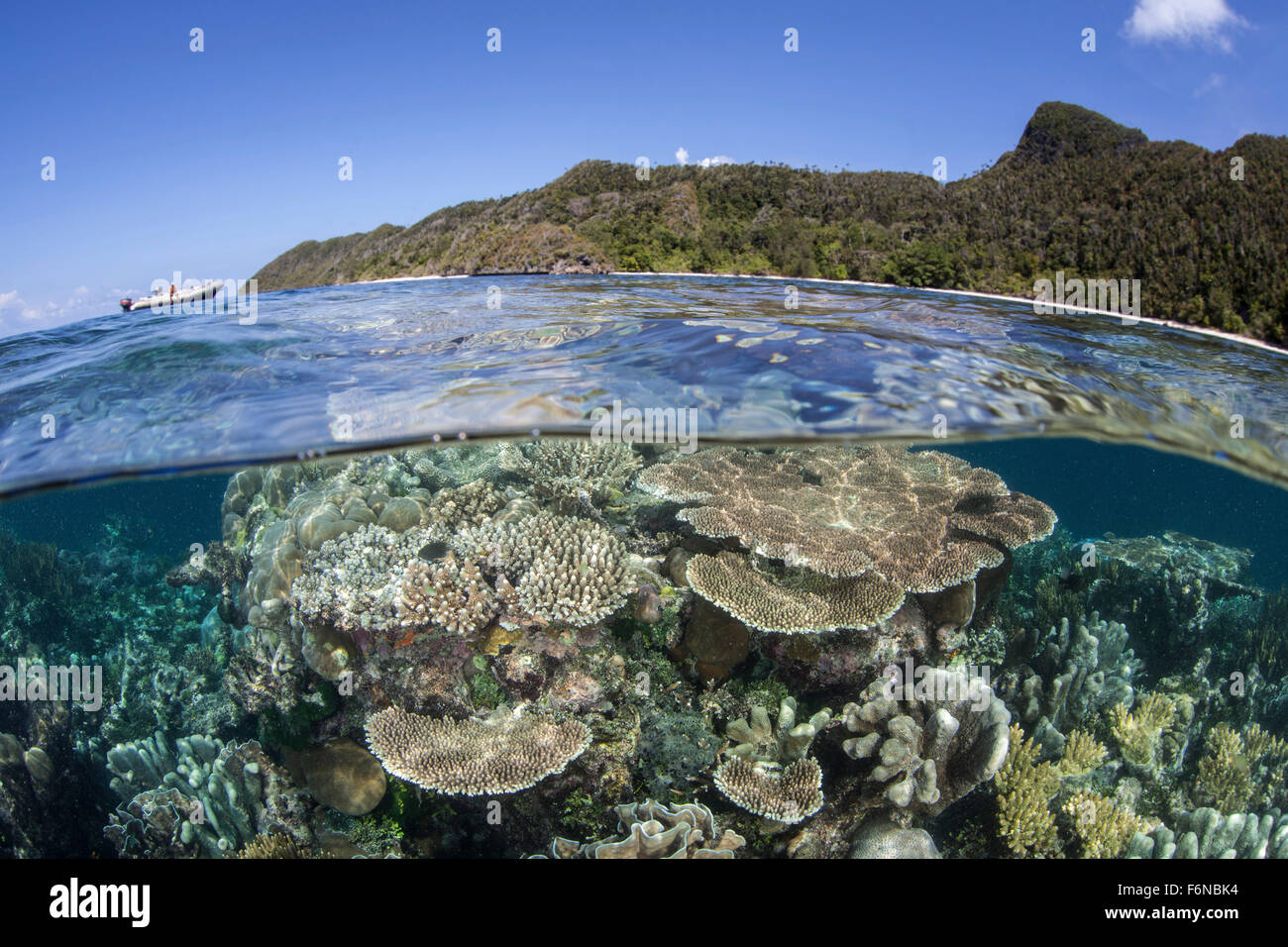 A beautiful coral reef grows near a set of limestone islands in Raja ...
