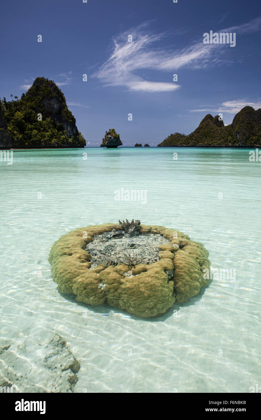 Rugged limestone islands surround corals growing in a gorgeous lagoon ...