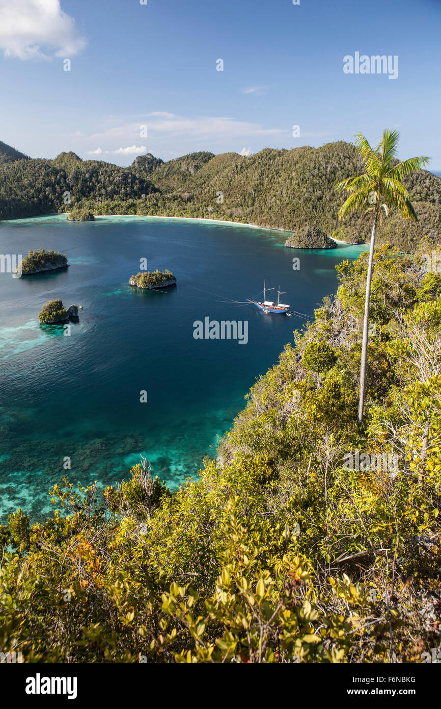 Forest-covered limestone islands surround a gorgeous lagoon in a remote ...