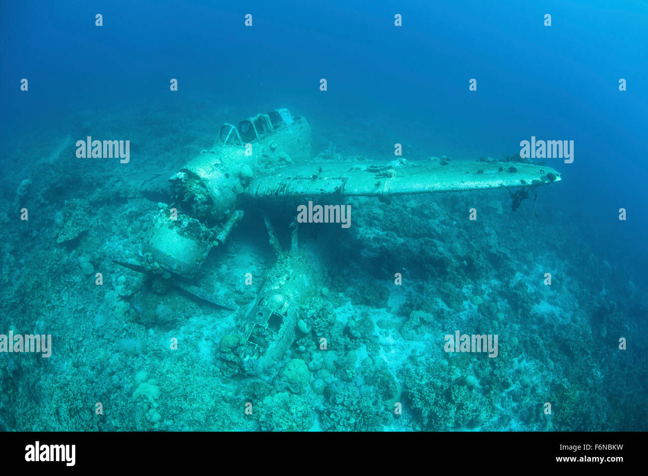 A Japanese Jake seaplane, shot down during World War II, lies on the ...