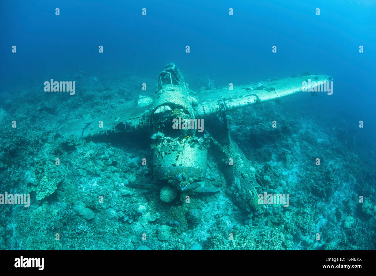 A Japanese Jake seaplane, shot down during World War II, lies on the ...