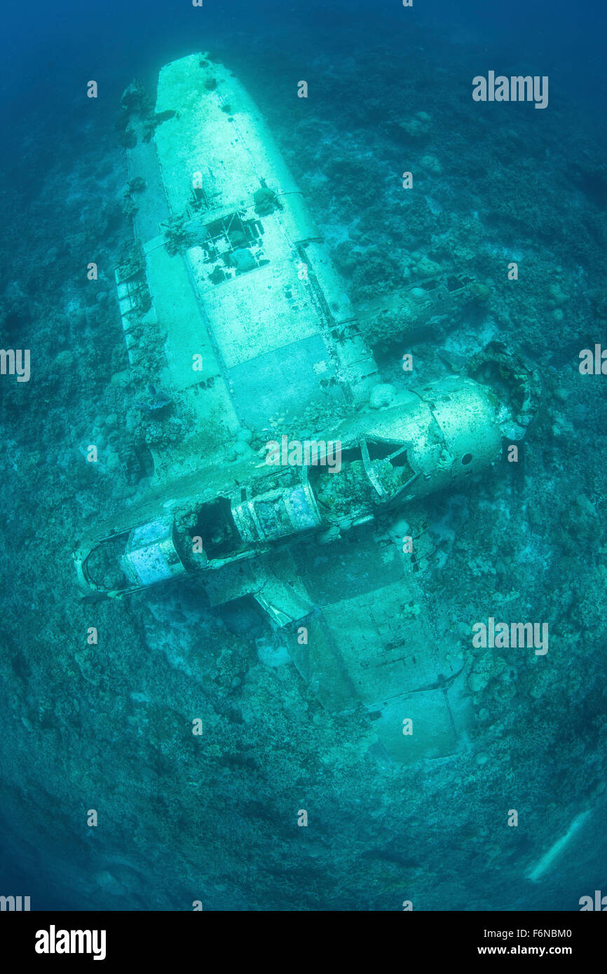 A Japanese Jake seaplane, shot down during World War II, lies on the ...