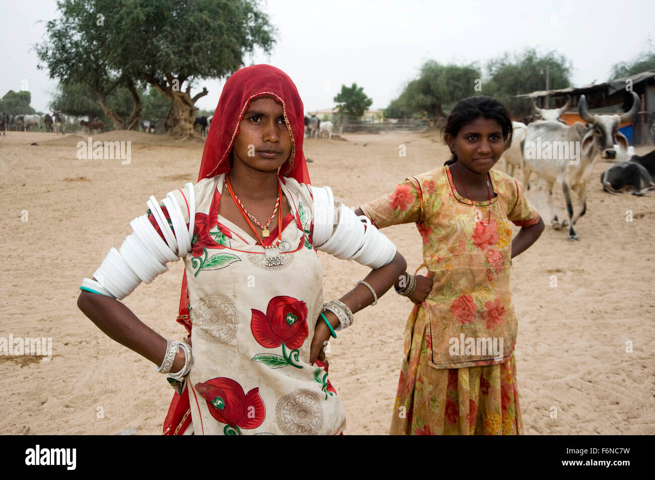 Tribal woman, pathmeda, godham, rajasthan, india, asia Stock Photo - Alamy