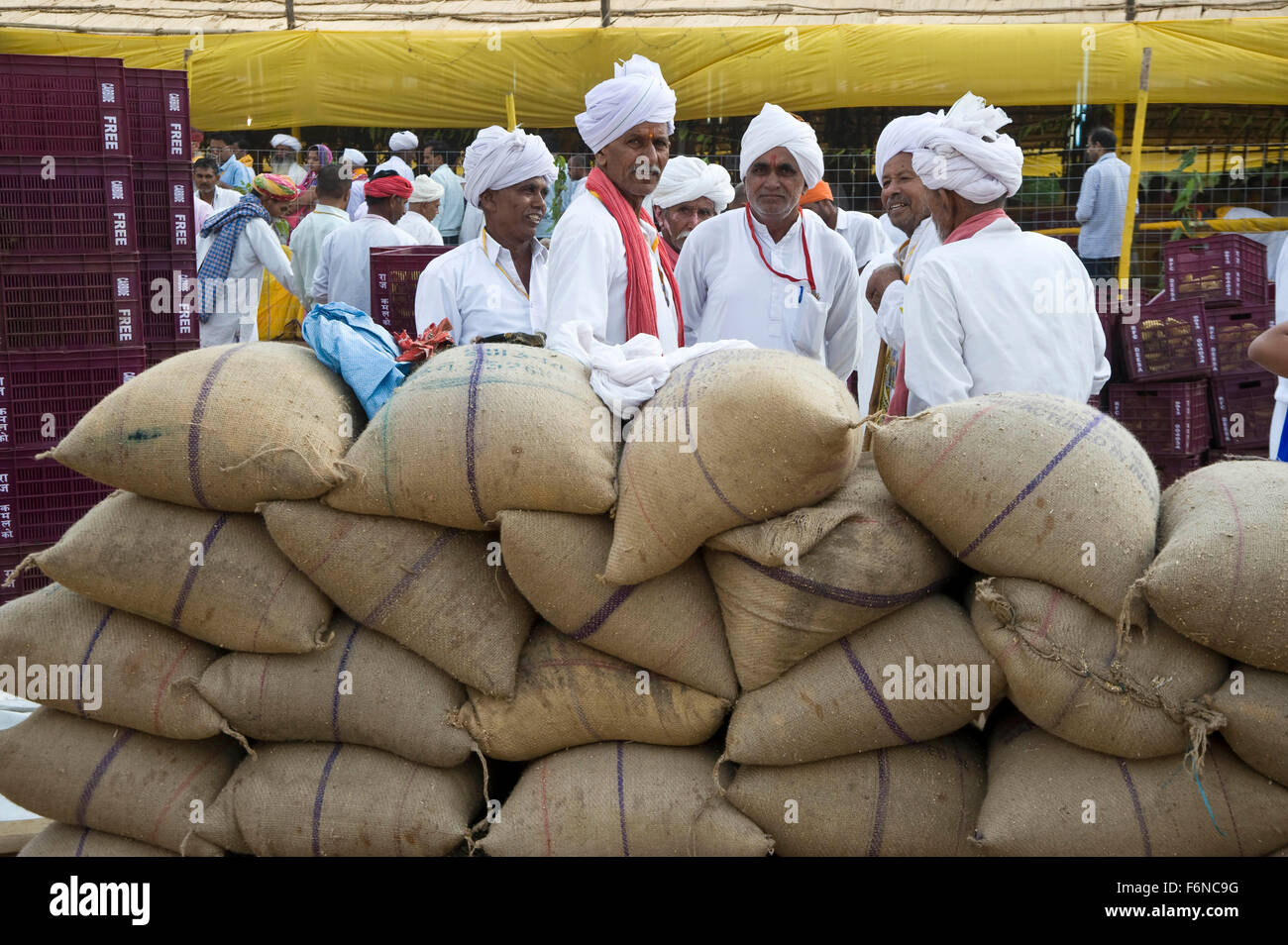 Farmer pilgrims, pathmeda, godham, rajasthan, india, asia Stock Photo ...