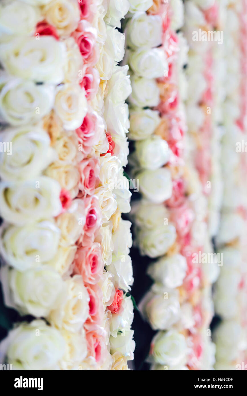 Dozen roses hi-res stock photography and images - Alamy