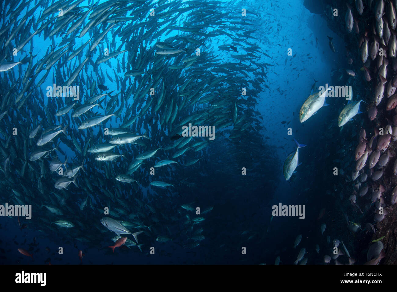 Fis triangle hi-res stock photography and images - Alamy