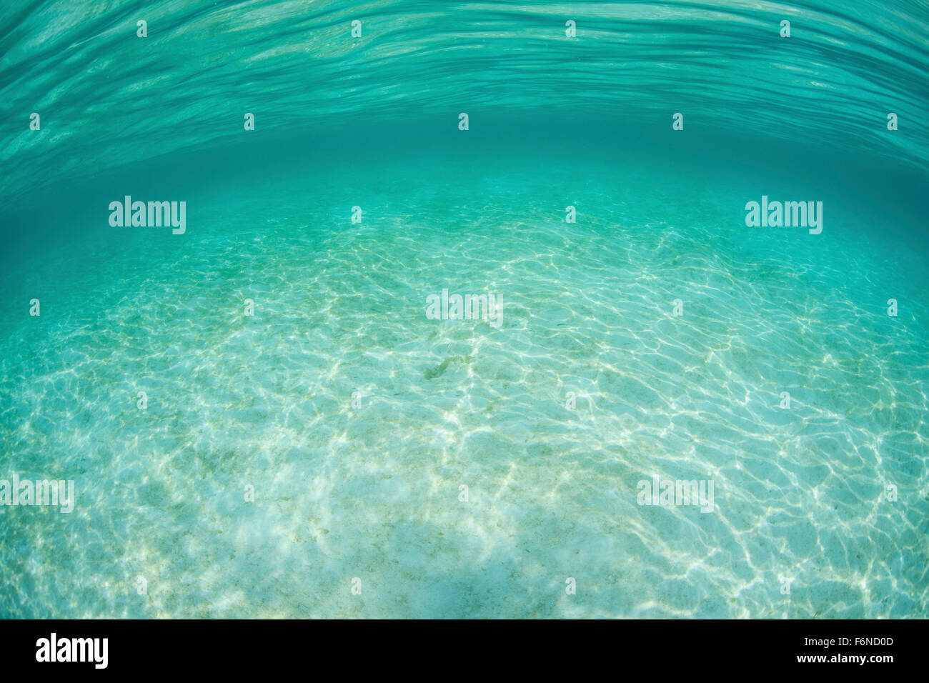 Sunlight ripples across shallow hi-res stock photography and images - Alamy