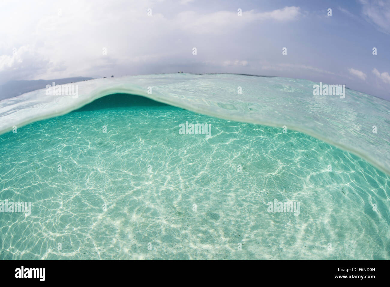 High ocean floor hi-res stock photography and images - Alamy