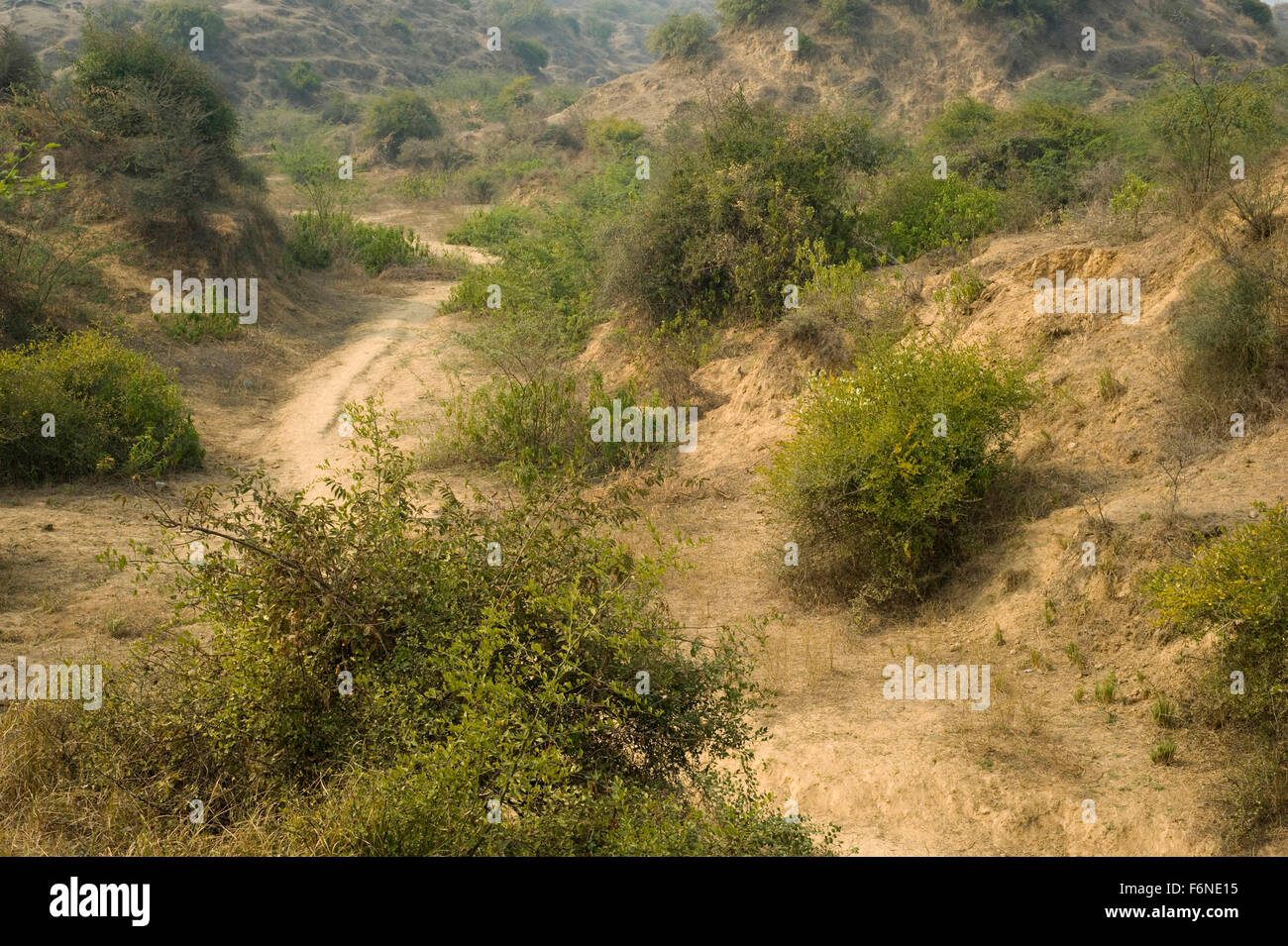 Chambal valley hi-res stock photography and images - Alamy
