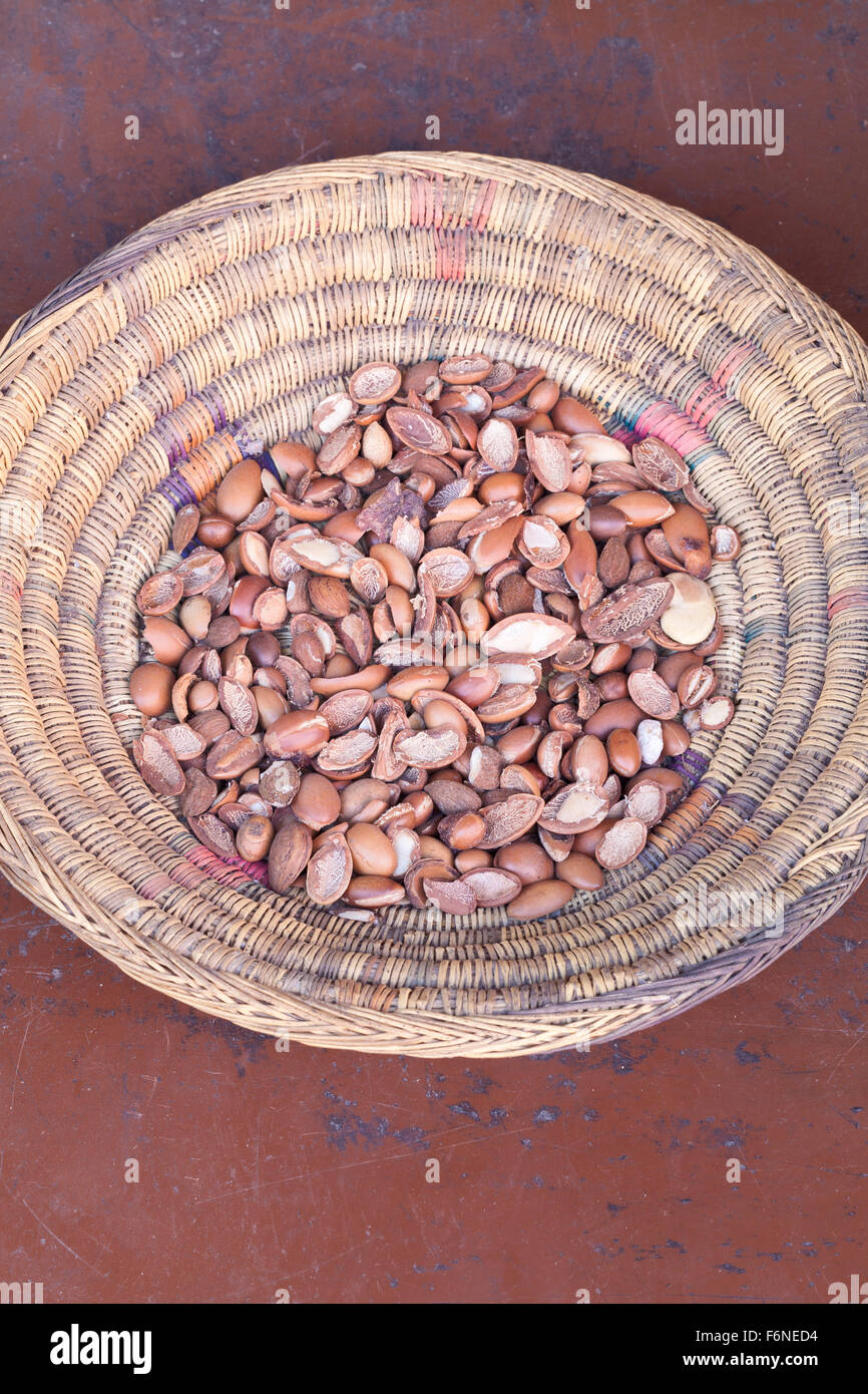 Argan nuts, Marrakech, Morocco Stock Photo - Alamy