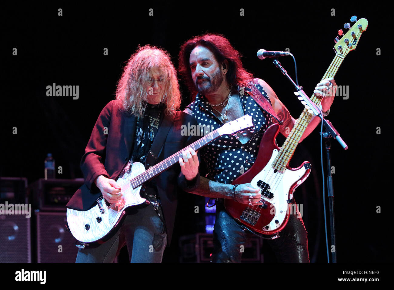 The dead daisies on tour hi-res stock photography and images - Alamy